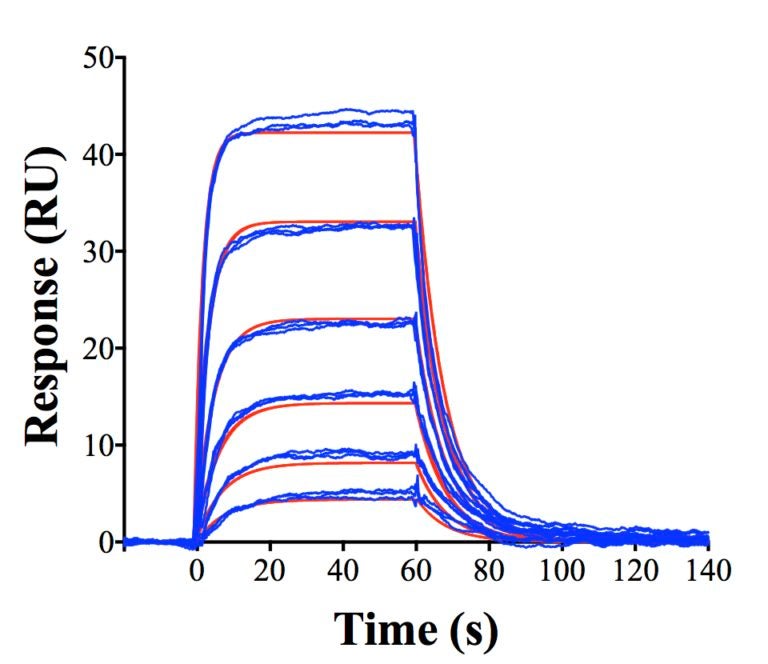 Biacore Molecular Interaction Shared Resource | Lombardi Comprehensive ...