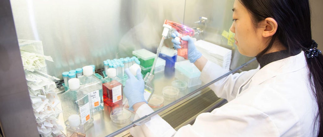 About | Lombardi Comprehensive Cancer Center | Georgetown University