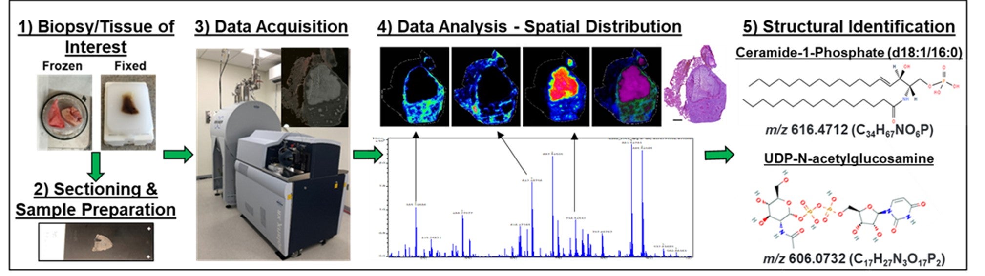 Mass Spectrometry and Analytical Pharmacology Shared Resource (MSAPSR ...