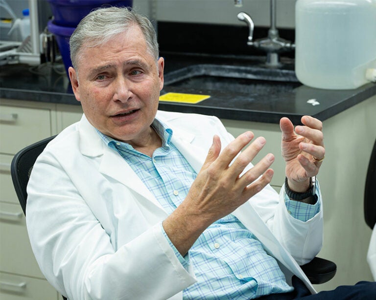 Could a Georgetown Lab Finding Lead to New Treatment in Pancreatic ...