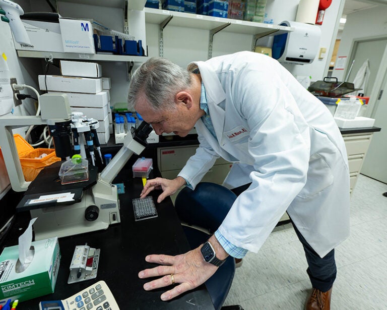 Could a Georgetown Lab Finding Lead to New Treatment in Pancreatic ...
